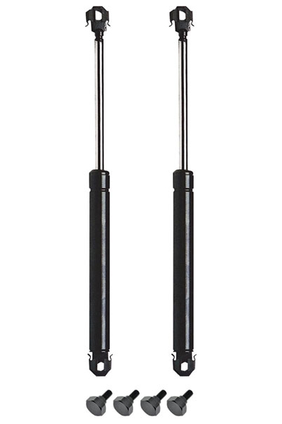 Hood Lift Struts
